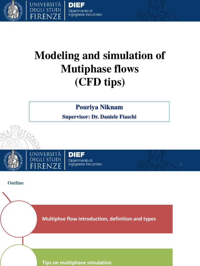 Multiphase Flow Simulation Guide | PDF | Fluid Dynamics | Particulates