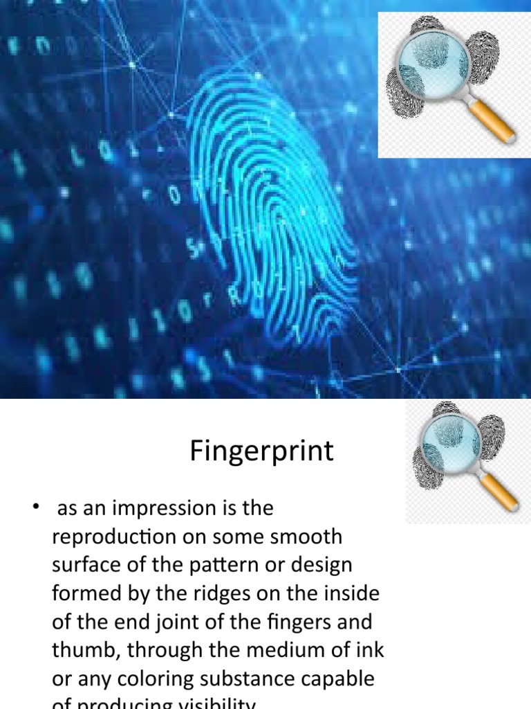 Fingerprint History 101 | PDF | Fingerprint