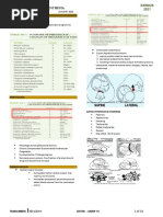 UCSF Pediatric Anesthesia Reference Card | PDF | Medical Specialties ...