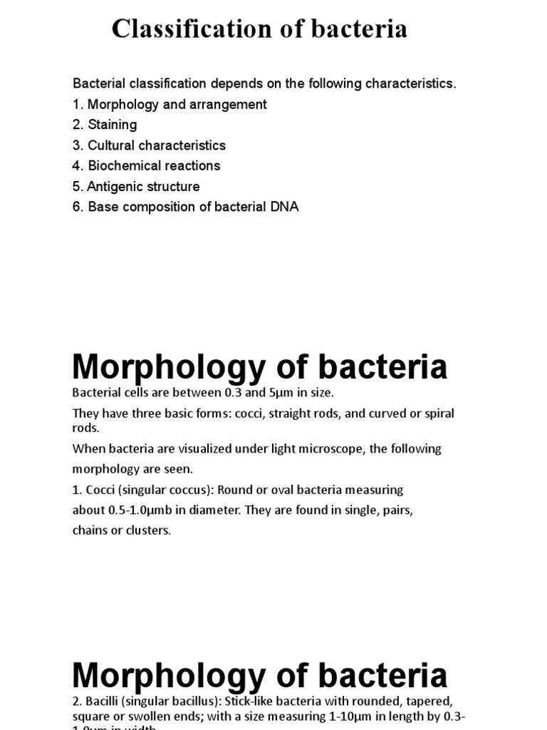 Classification of Bacteria | PDF | Staining | Bacteria