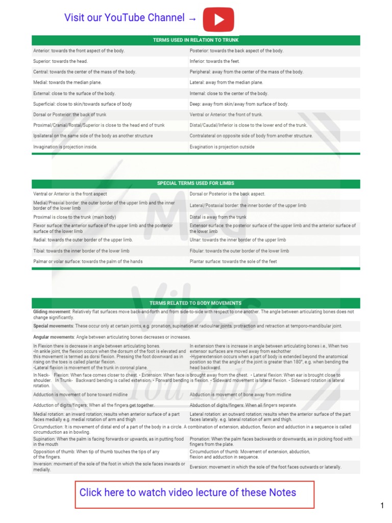 Anatomy Best Short Notes and Flow Chart | PDF | Anatomical Terms Of ...