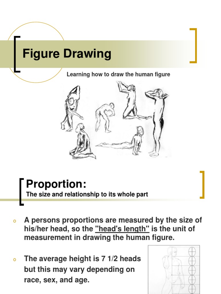 Figure Drawing | PDF