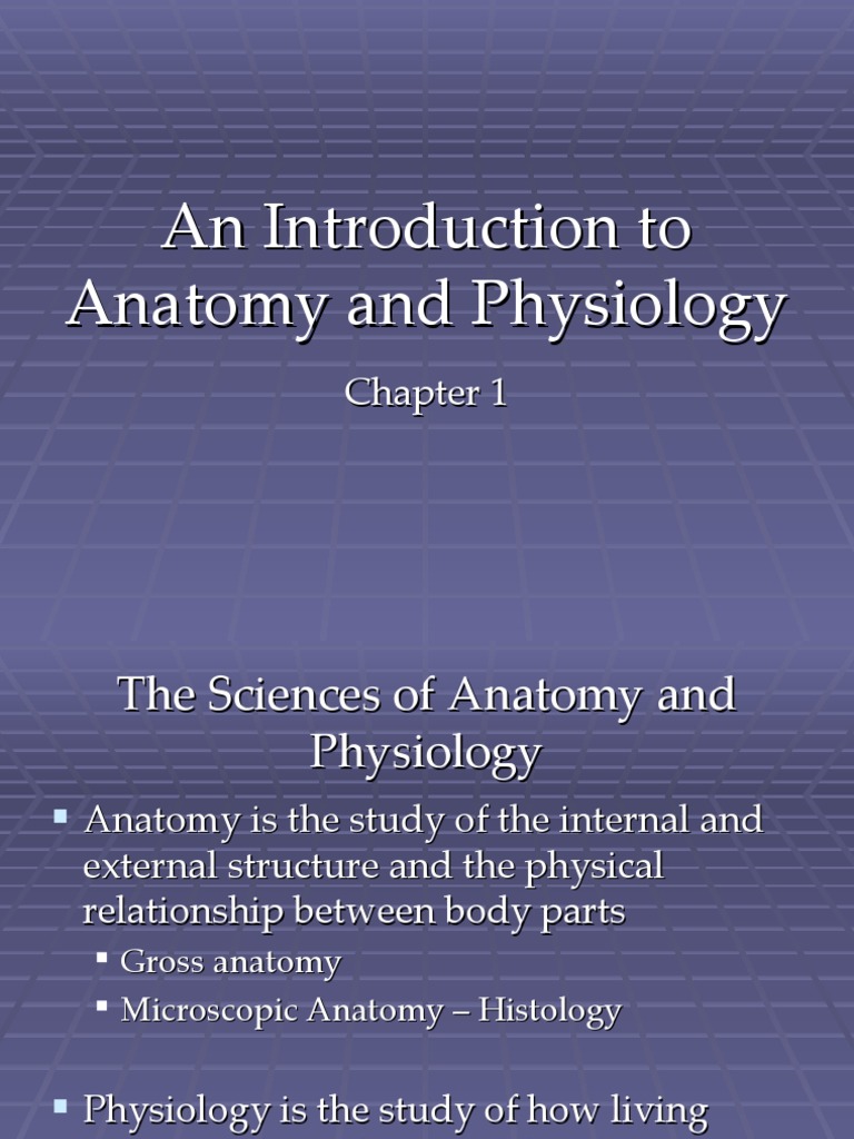 Chapter 1 Intro To Anatomy | PDF