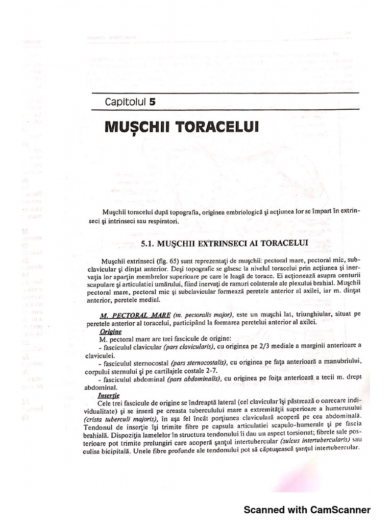 Muschii Toracelui | PDF