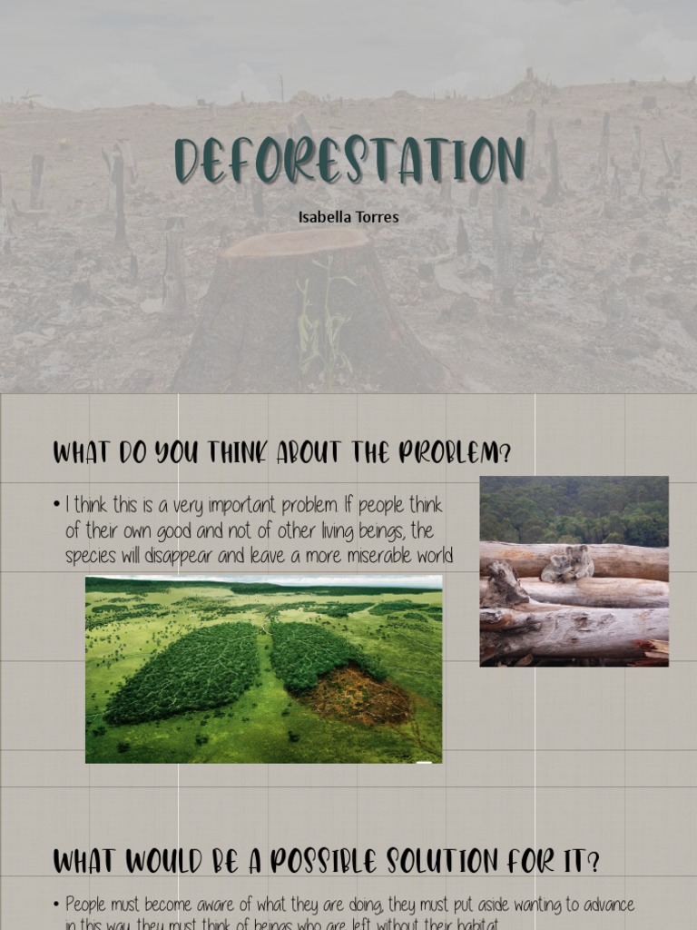 Deforestation Evidence | PDF