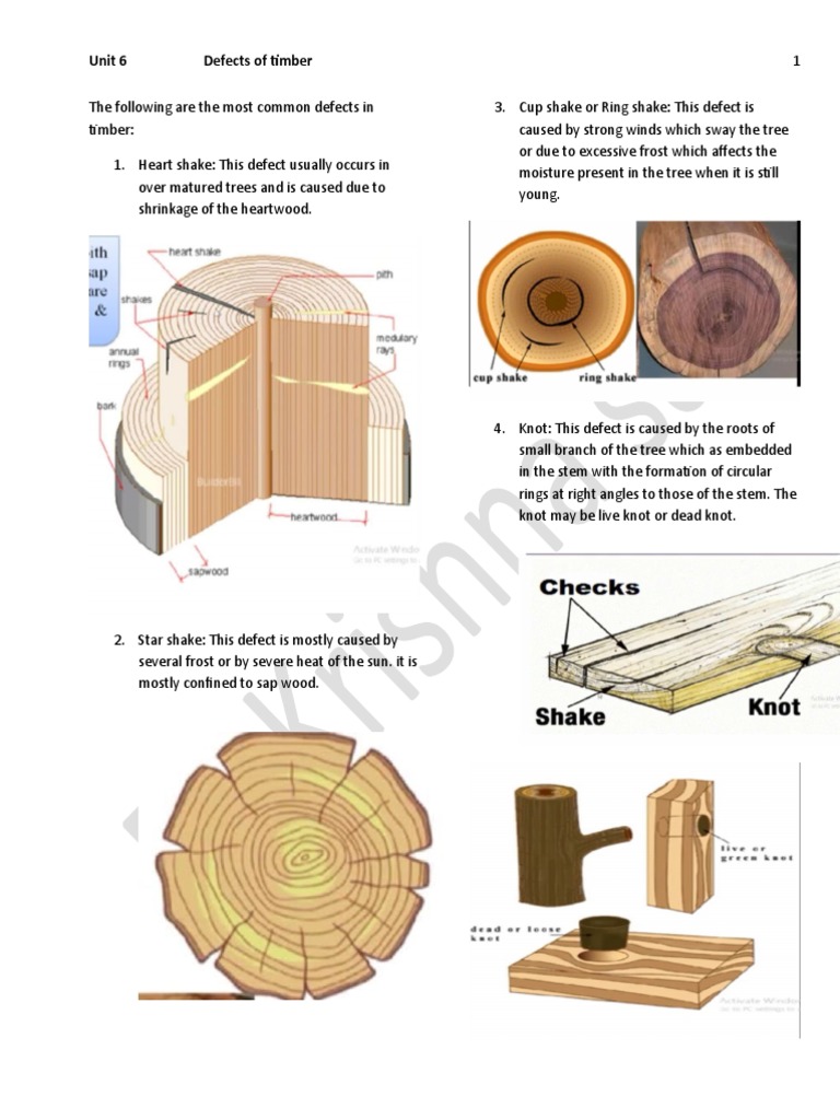 Unit 6 Defects of Timber | PDF
