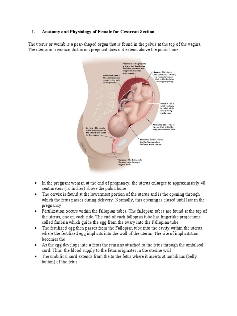 Cesarean Section Technique With Diagram