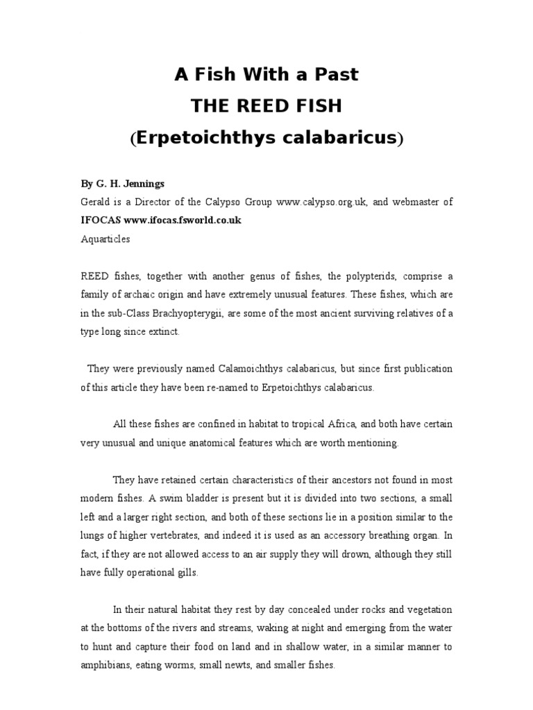 Reed Fish: Ancient African Species | PDF | Fish | Aquarium