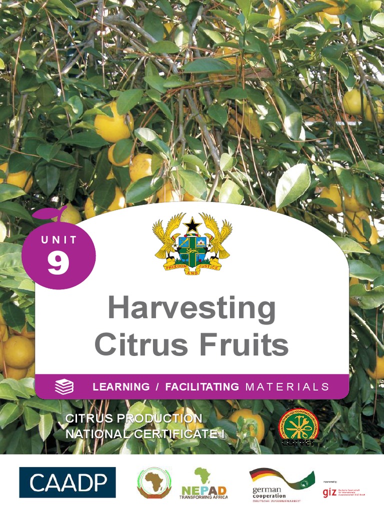 Intro To Citrus Unit 9-Min | PDF | Orange (Fruit) | Sucrose