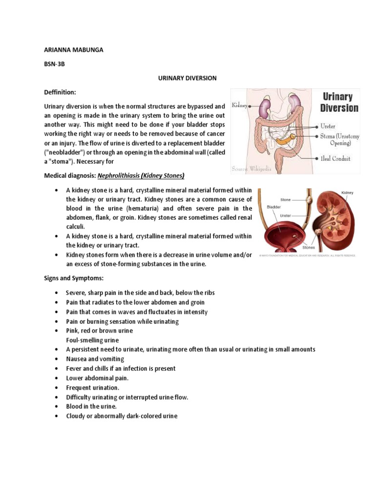 Urine Diversion | PDF | Surgery | Kidney