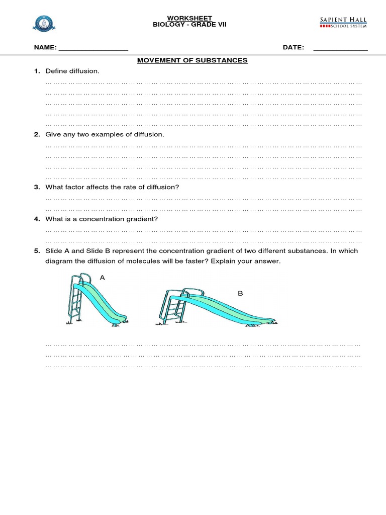 Define Diffusion.: Worksheet Biology - Grade Vii | PDF