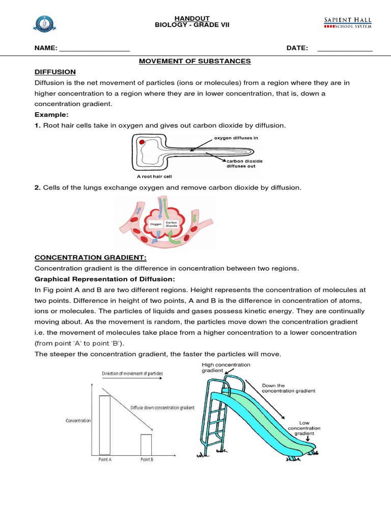 Diffusion: Handout Biology - Grade Vii | PDF