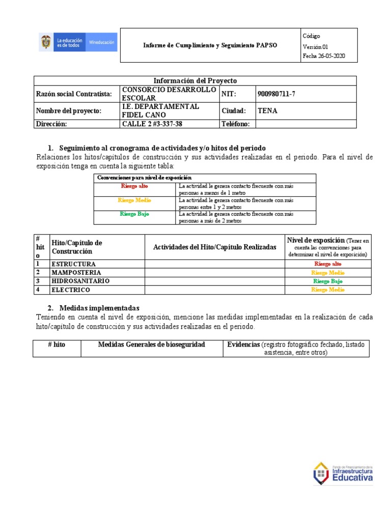 Anexo 14. Formato Informe Cumplimiento y Seguimiento Papso | PDF | Salud pública | Bienestar