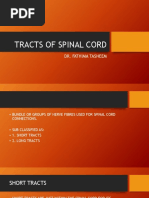Ascending and Descending Tracts | PDF | Spinal Cord | Central Nervous System