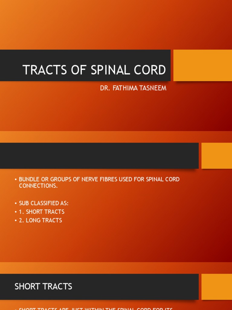 Tracts of Spinal Cord: Dr. Fathima Tasneem | PDF | Spinal Cord ...