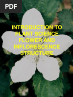 Gumamela: Structure and Reproduction | PDF | Flowers | Pollination