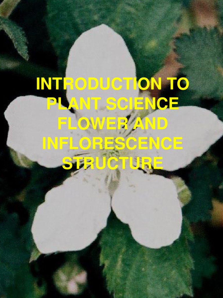 Introduction To Plant Science Flower and Inflorescence Structure | PDF ...