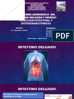 Abordaje Quirúrgico de La Resección Intestinal | PDF | Cirugía ...