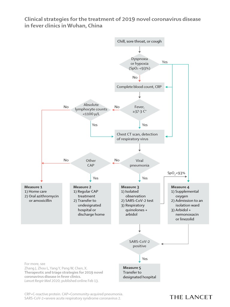 Coronavirus Flowchart English | PDF | Pneumonia | Immunology