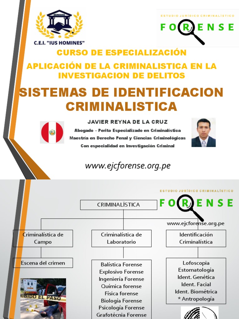 6sistemas de Identificacion Criminalistica PDF | PDF | Ciencia forense ...