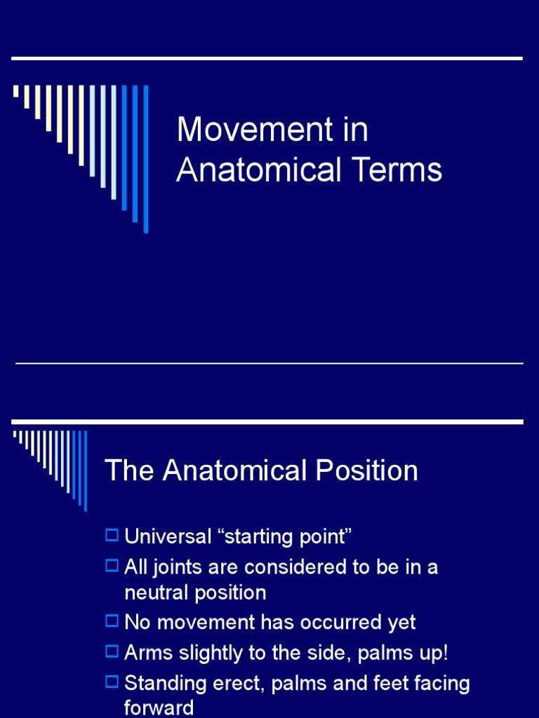 Movement in Anatomical Terms | PDF | Anatomical Terms Of Motion ...