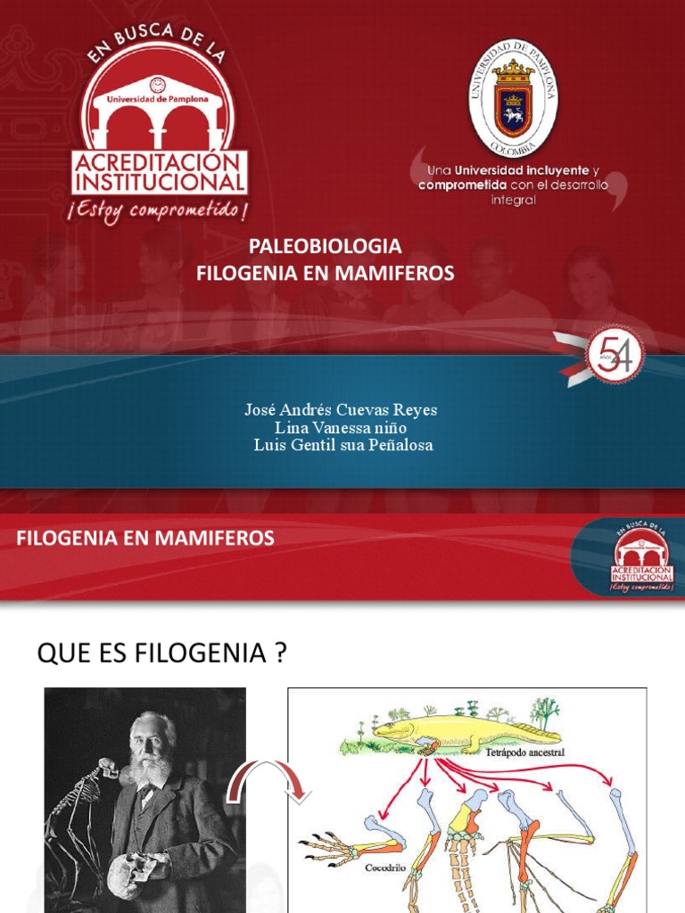 La evolución filogenética de los mamíferos: de los primeros tetrápodos ...