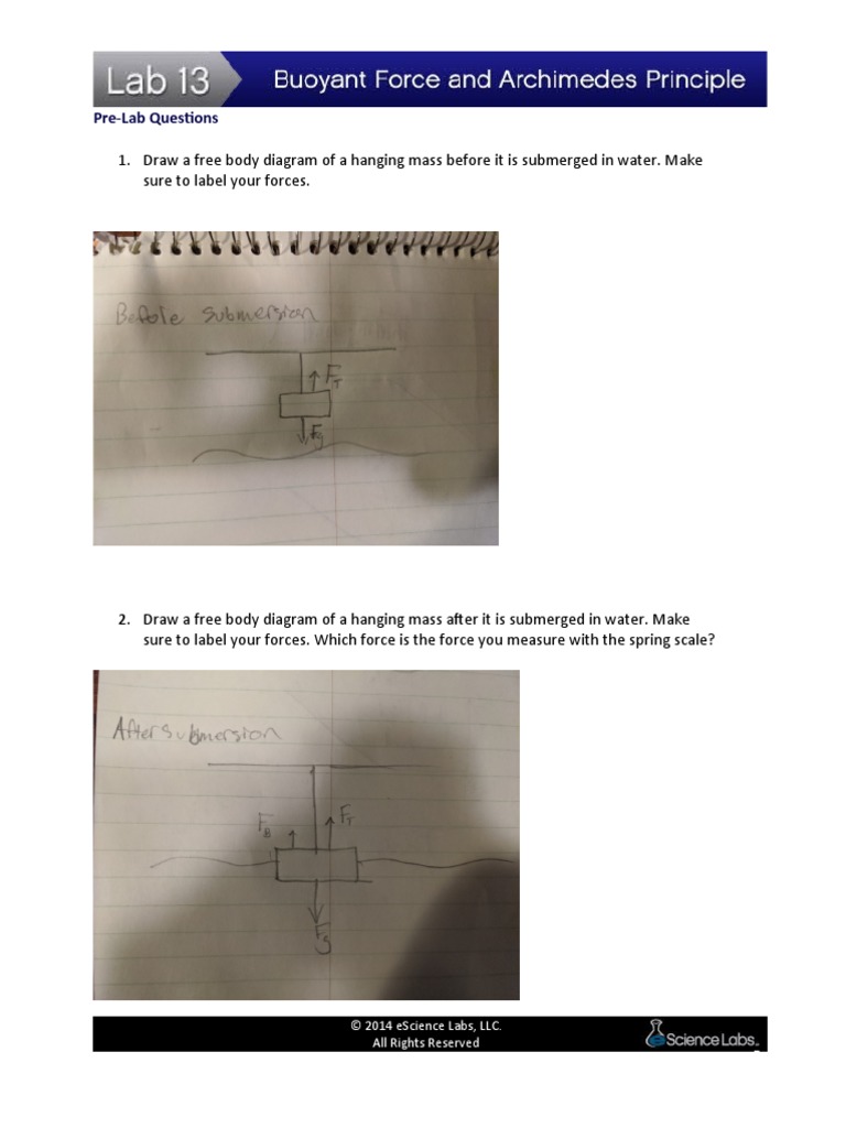 Buoyant Force and Archimedes Principle - Pre-Lab Quiz | PDF