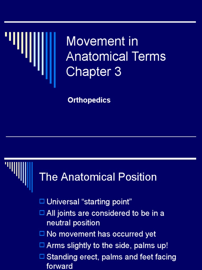 Movement in Anatomical Terms 3 | PDF | Anatomical Terms Of Motion ...
