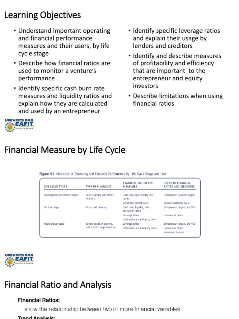 04 Evaluating Operating and Financial Performance PDF | PDF | Leverage ...