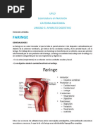 Membranas Faríngeas | PDF | Oído | Membrana mucosa