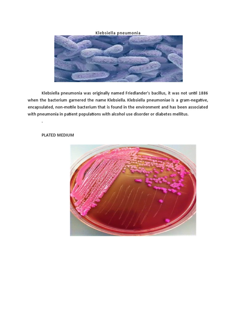 Klebsiella Pneumonia | PDF