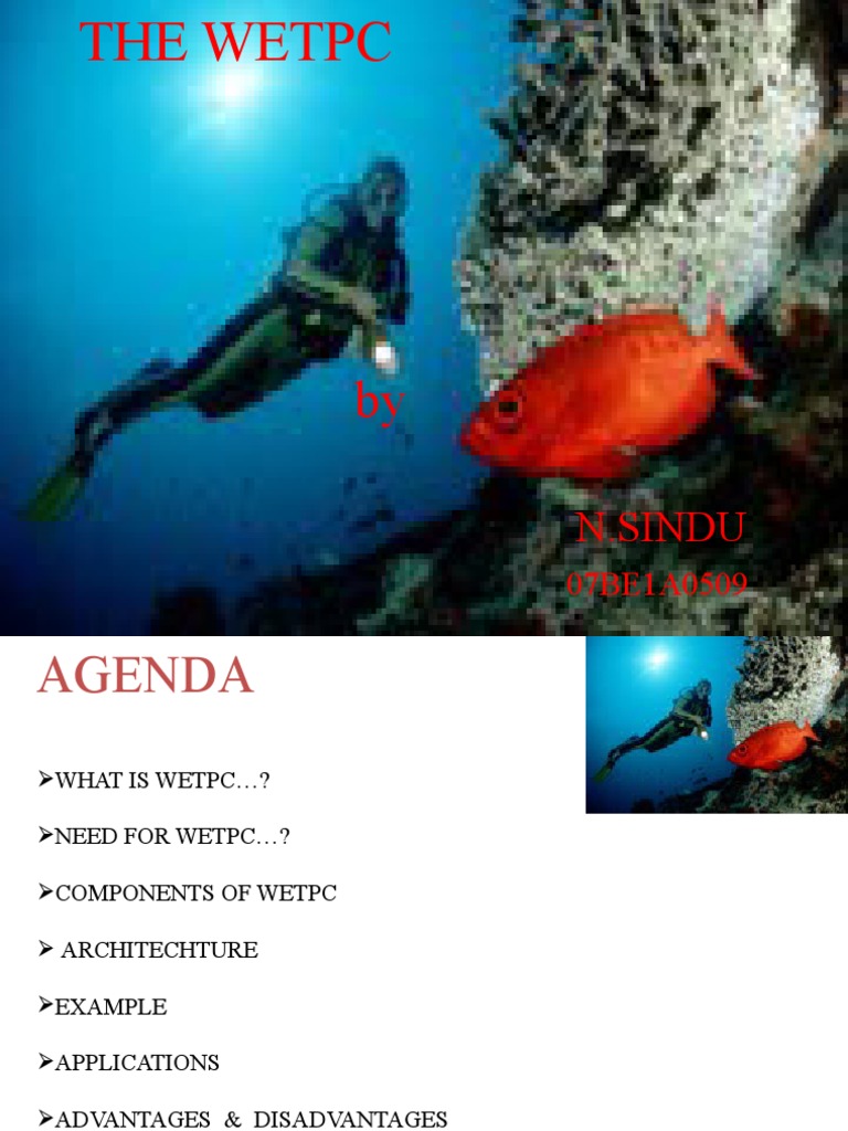 Wetpc | PDF | Graphical User Interfaces | Button (Computing)