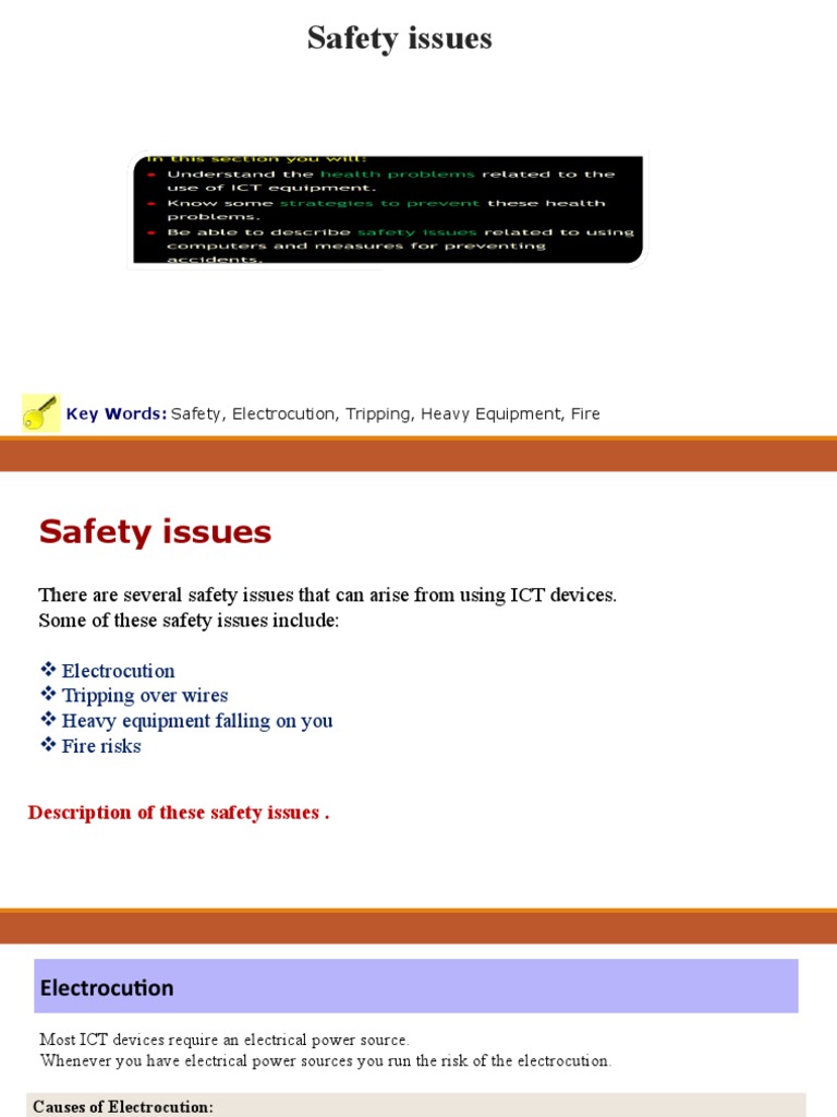 IGCSE ICT - Safety Issues | PDF