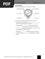 Worksheet Testing A Leaf For Starch | PDF