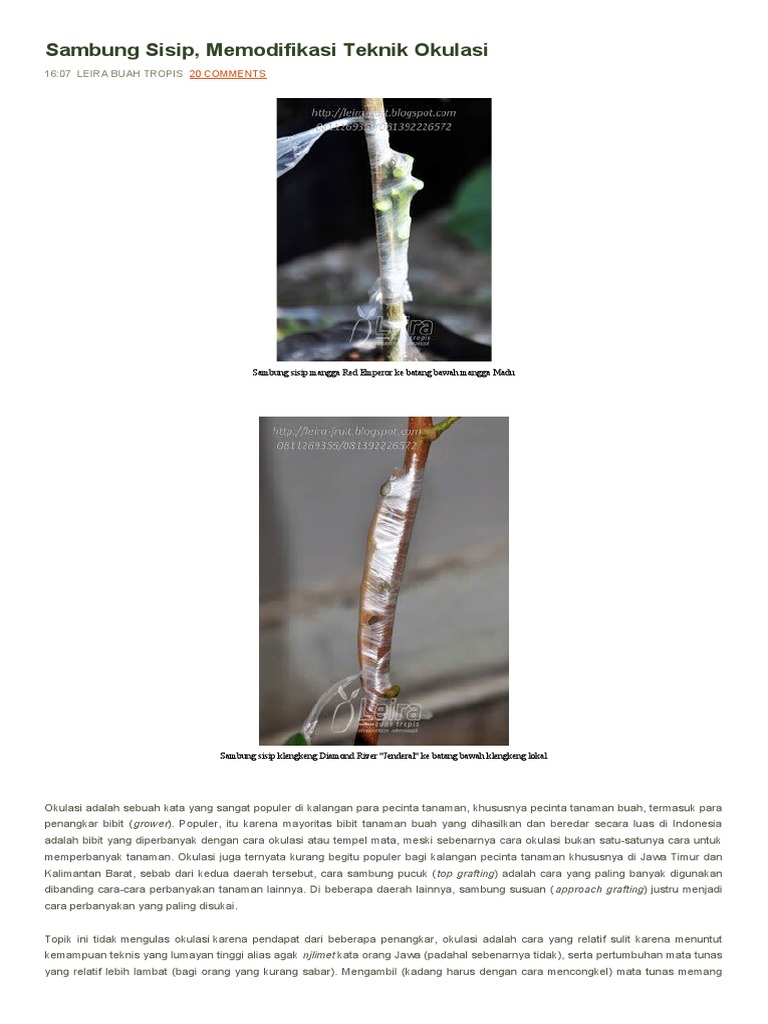 Cara Sambung Sisip | PDF | Sains & Matematika