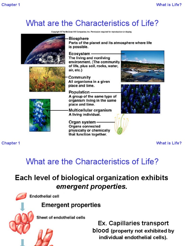 Characteristics and Study of Life | PDF | Reproduction | Life