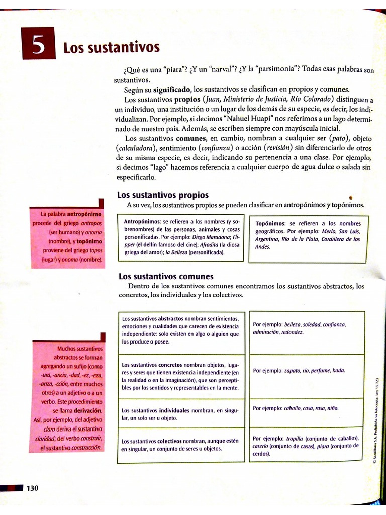 Sustantivos y Adjetivos | PDF