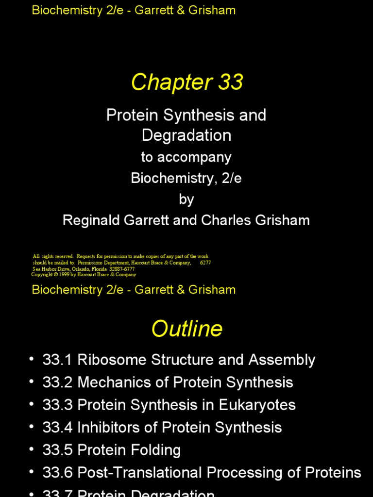 Chapter 33: Protein Synthesis | PDF | Protein Targeting | Translation ...