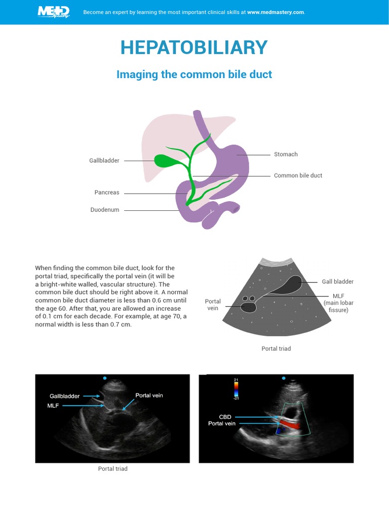 Common Bile Duct Imaging Guide | PDF