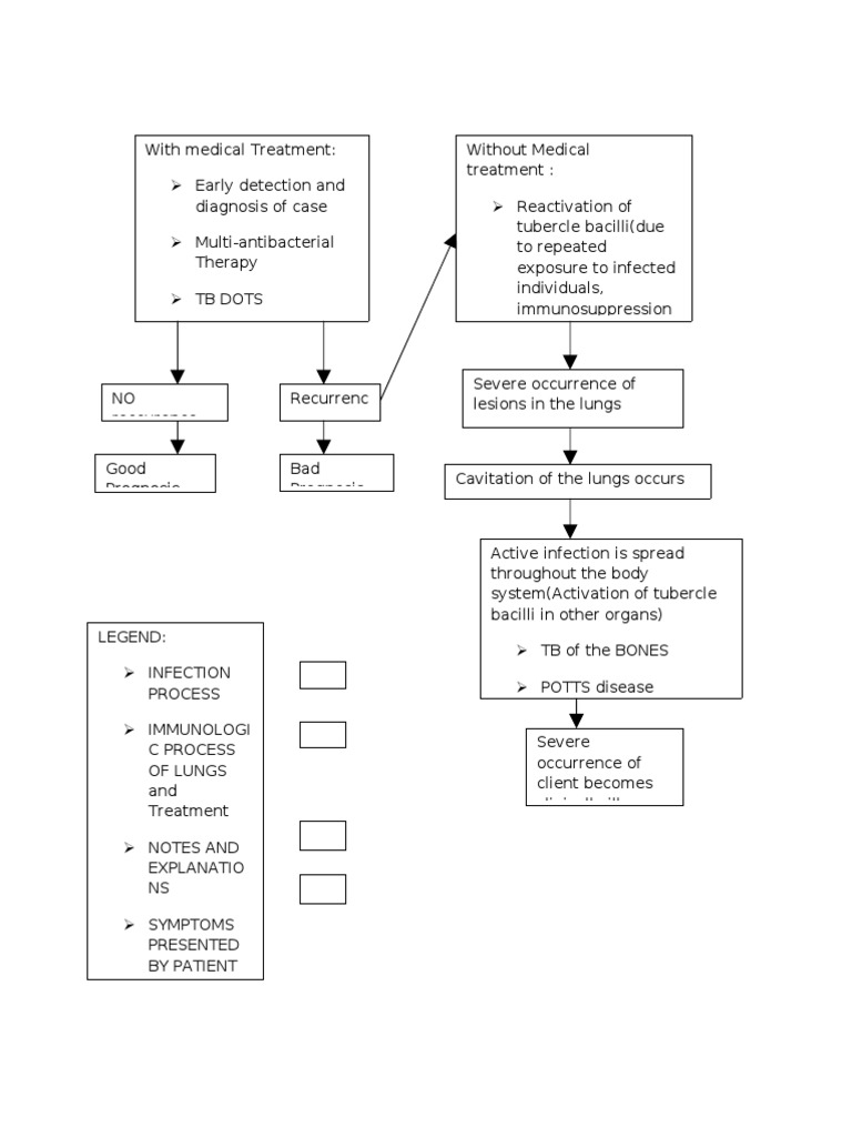 Pathophysiology of TB | PDF | Tuberculosis | Macrophage