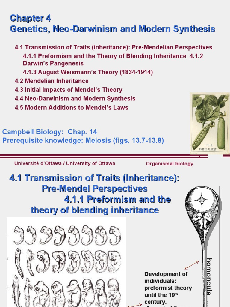 Genetics, Neo-Darwinism and Modern Synthesis Genetics, Neo-Darwinism ...