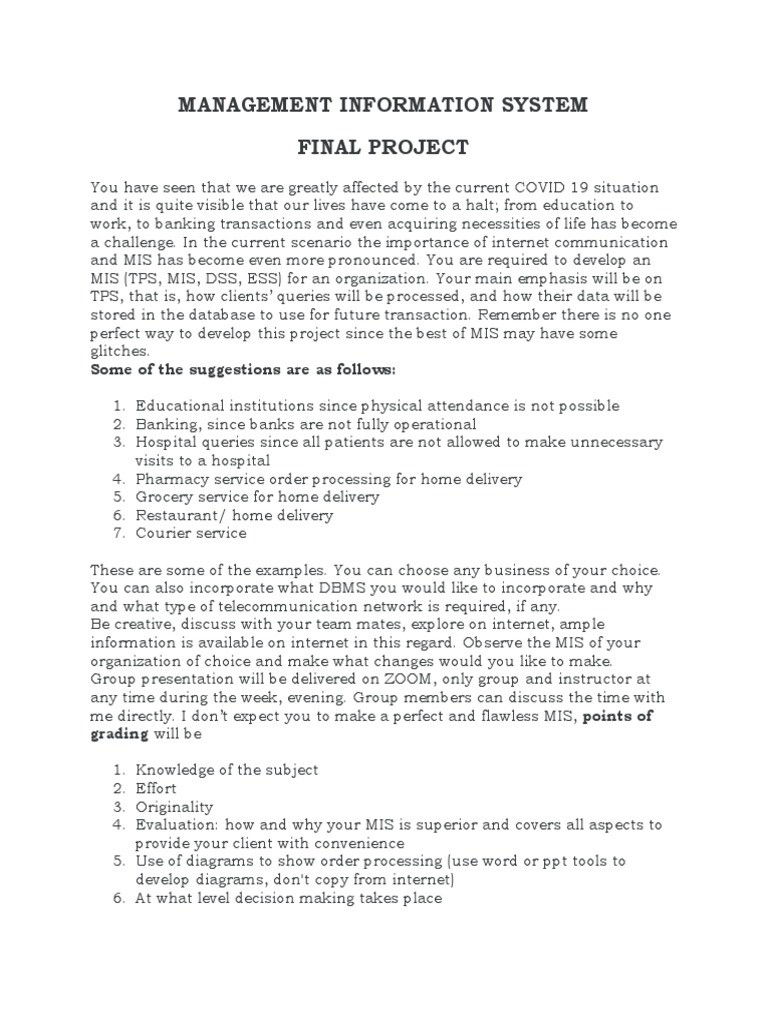 Management Information System Final Project: Some of The Suggestions Are As Follows | PDF ...