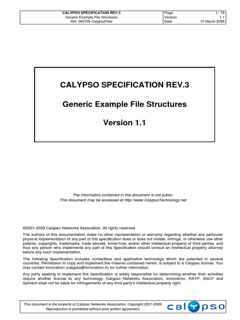 Calypso File Structure Revision 31 PDF | PDF | Debit Card | Computer File