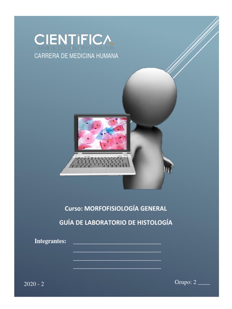 Histologia Guia de Lab Morfo General 2020 2 PDF | PDF | Epitelio | Leucocito