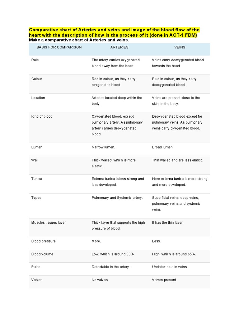 Arteries and Veins Chart | PDF | Artery | Vein