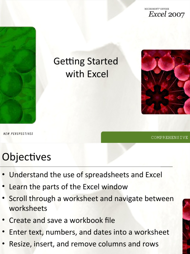 Excel 2007 Basics for Beginners | PDF | Microsoft Excel | Worksheet