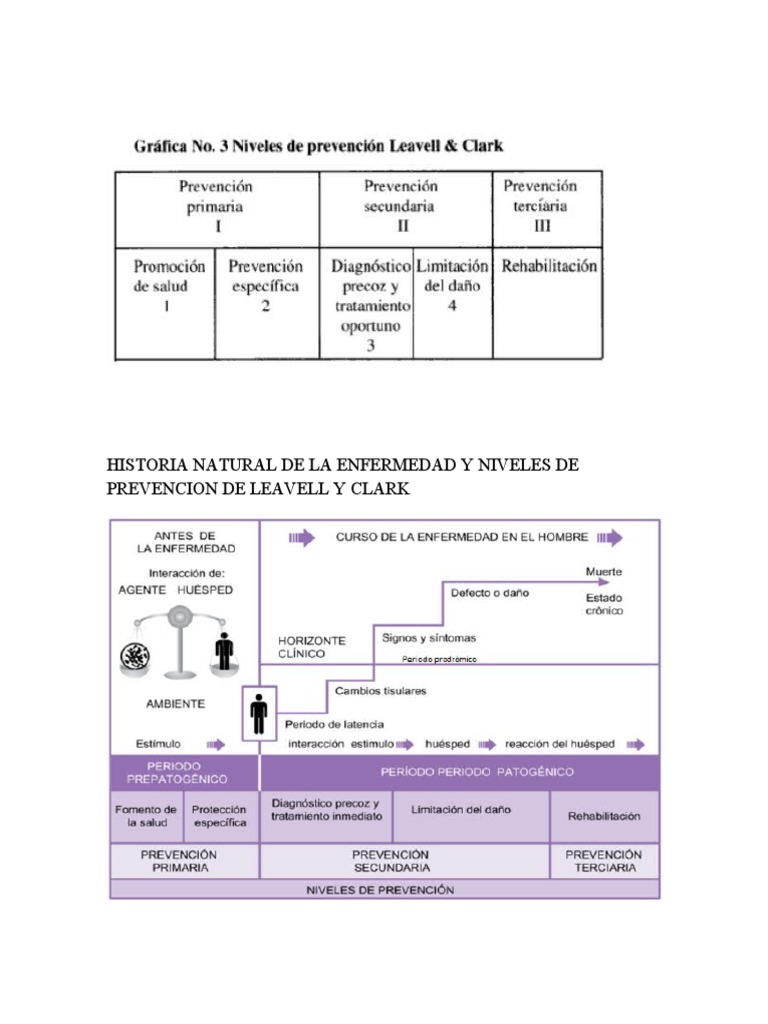 Modelo de Prevencion de Leavell y Clark | PDF
