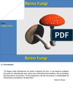 Cruzadinha Sobre Os Fungos PDF | PDF