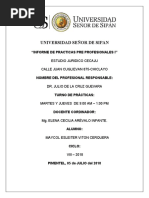 Informe Final Pre Practicas Profesionales 2022 | PDF