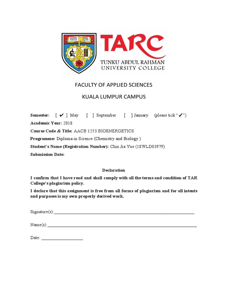 Structure of Leaves | Download Free PDF | Stoma | Leaf